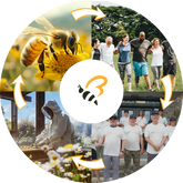 All products - 4RBees